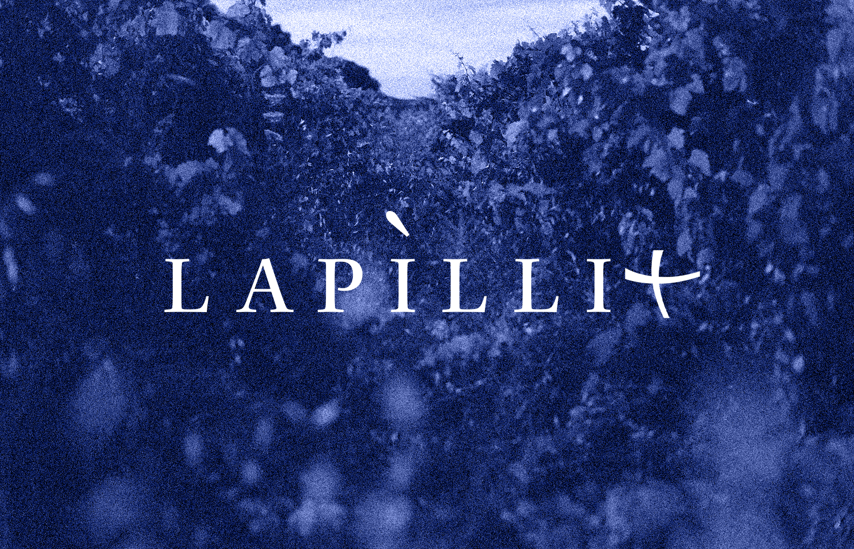 French Vintners Explore Ways to Adapt to Climate Change and New Market Demands